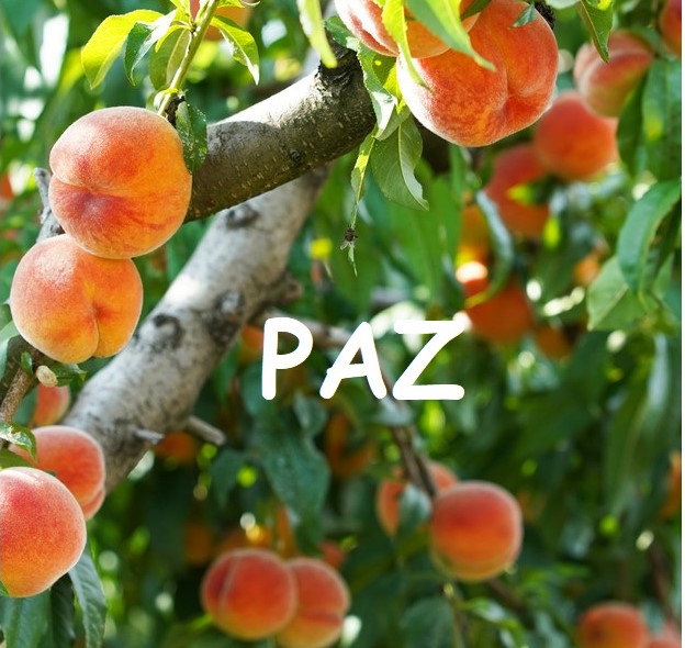 By – El Fruto del Espíritu es paz 5: 22c · The Teaching Ministry of Jay ...